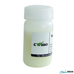 Western Blot封闭液Ⅰ(BSA)，BSA Blocking Buffer，货号-规格：CW0054M-500ml - 诺扬生物