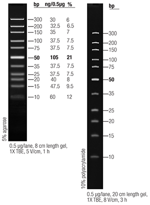 Thermo Scientific DNA Ladders（10bp-48502bp）专题 - 诺扬生物