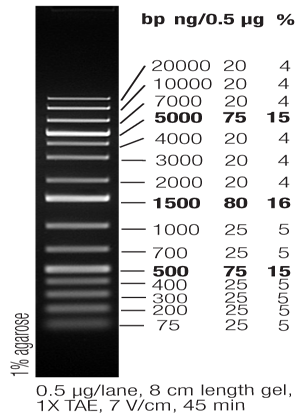 Thermo Scientific DNA Ladders（10bp-48502bp）专题 - 诺扬生物