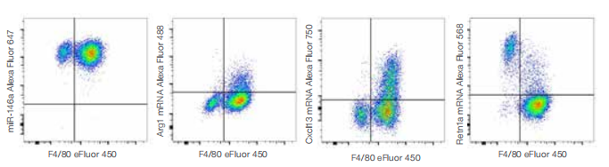 Thermo-流式细胞术-通过流式细胞术进行RNA检测 - 诺扬生物